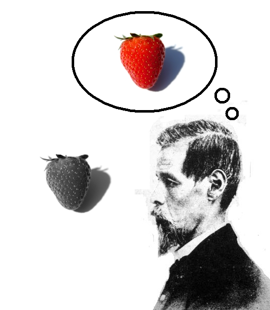 Despre conștientizarea emoțiilor; qualia, emoțiile și sentimentele ...