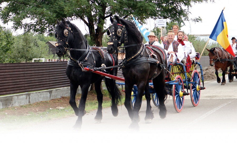 Fractura sensibilităților riscă să genereze ruptură socială ...