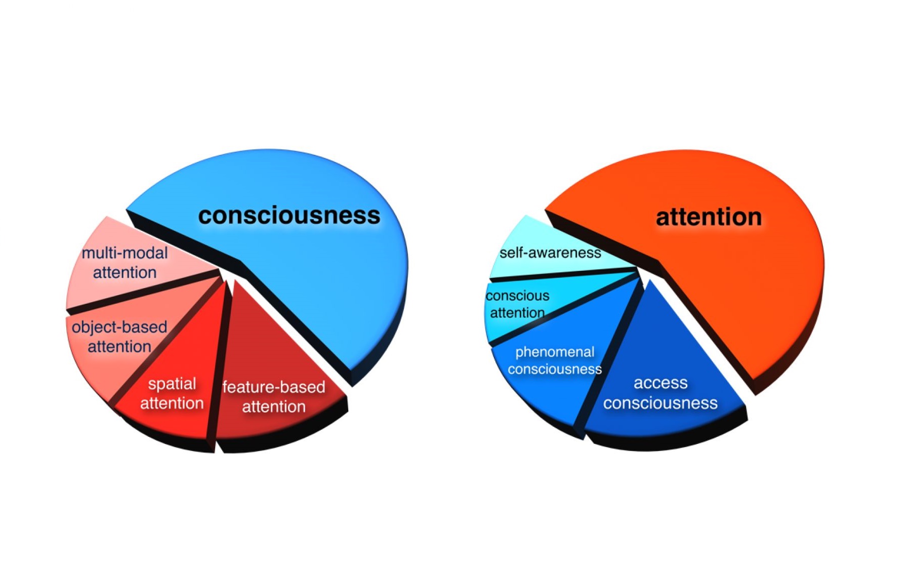 ce este conștiența 2