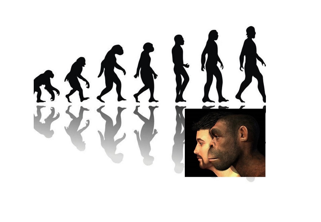 Despre coabitarea omului de Neanderthal cu omul modern (în cultura românească) - Avatarurile ...